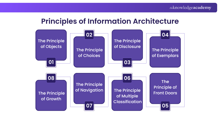 What is Information Architecture, and Why is it Important?