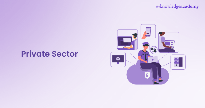 Private Sector Examples