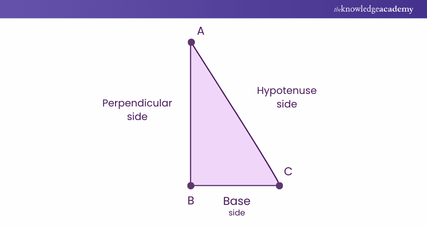 Area of Triangle: Formula and Examples