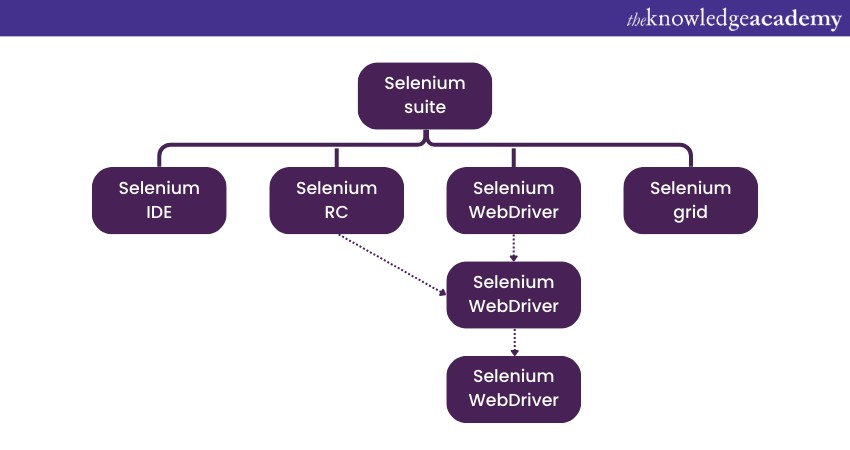Top Selenium with Python Interview Questions & Answers