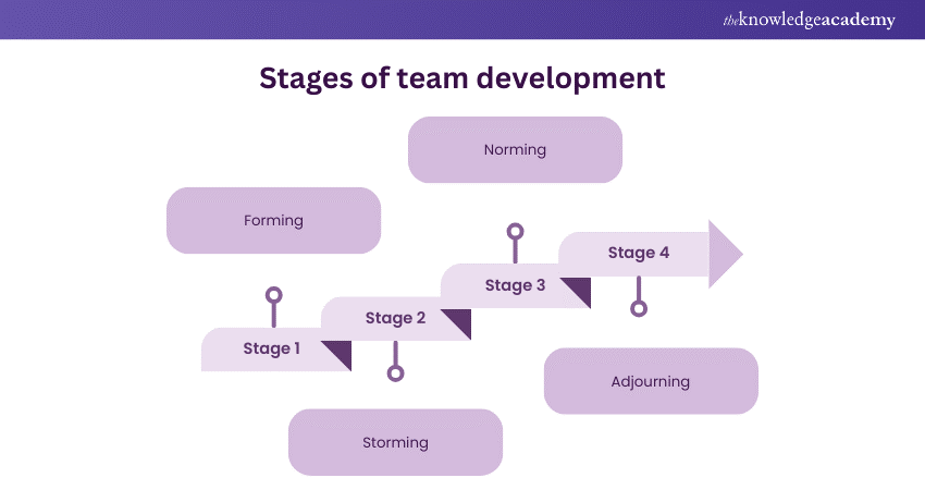 What is Team Development: Explained in Detail