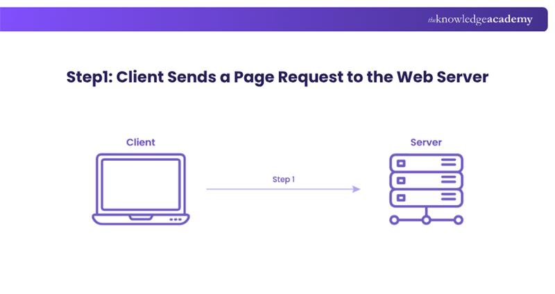 What is PHP? Everything You Should Know