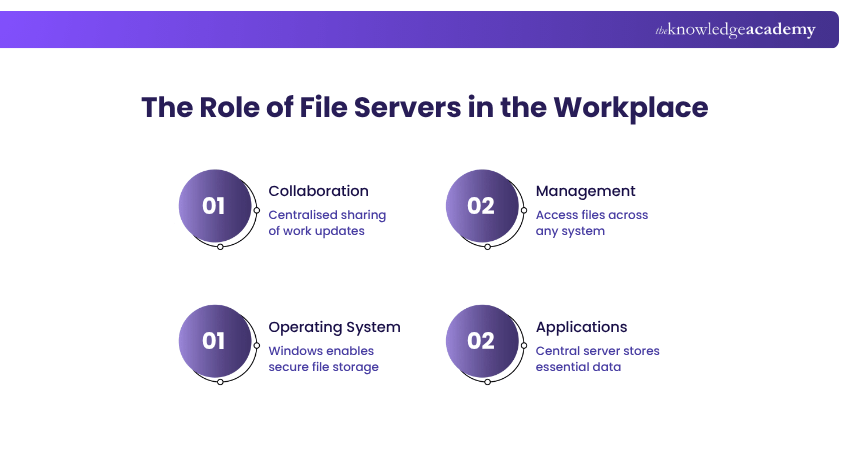 What is a File Server: Advantges and Disadvantages