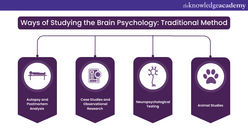 Ways of Studying the Brain Psychology: Complete Guide
