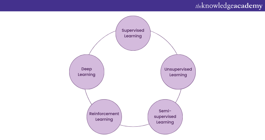 Different Types of Machine Learning: Explained in Detail