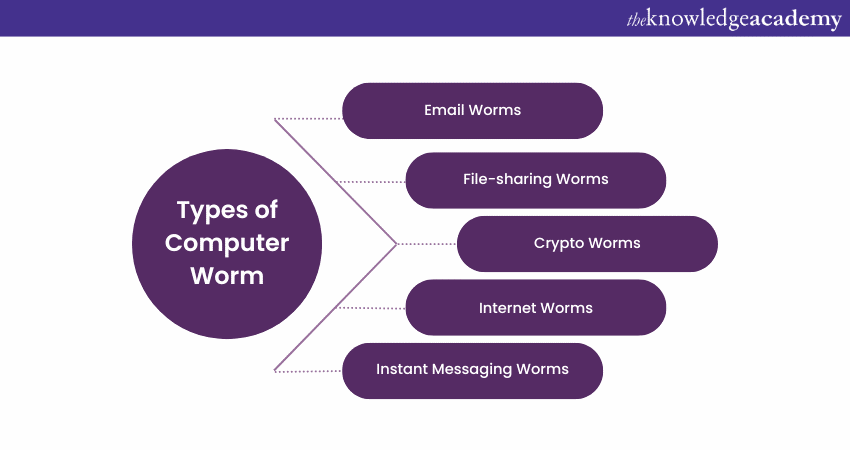 What is a Computer Worm? A Complete Guide