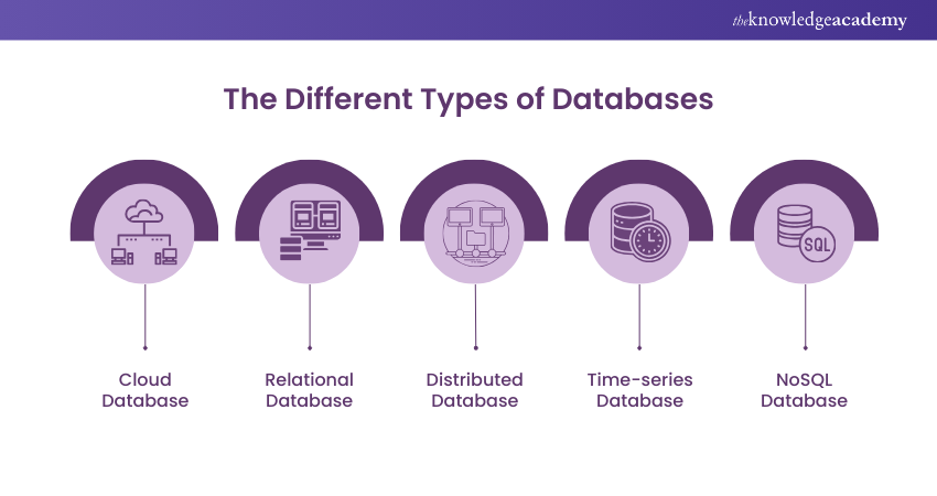 SQL vs. MySQL: The Key Difference Between SQL and MySQL