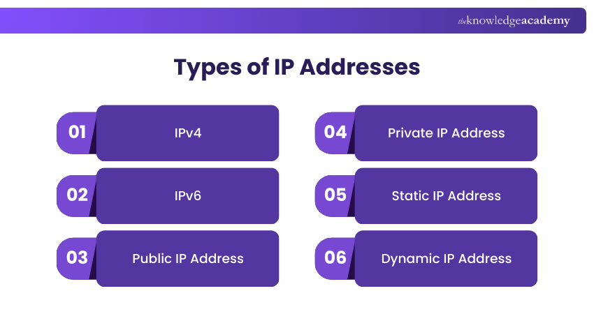 What Is an IP Address? A Beginner’s Guide to the Internet