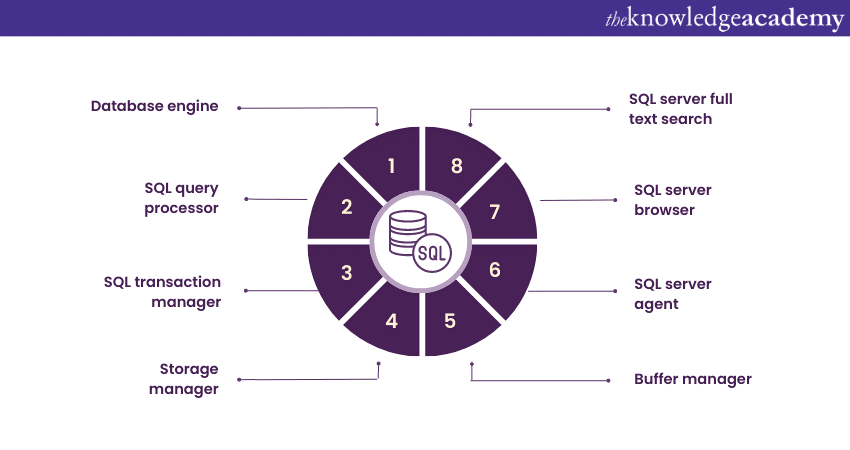 SQL Database: A Complete Guide for Beginners