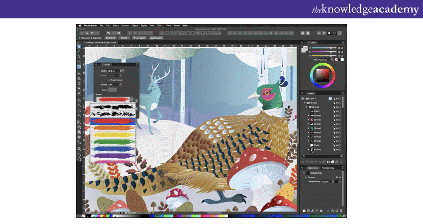 Top 10+ Adobe Illustrator Alternatives for Graphic Designers