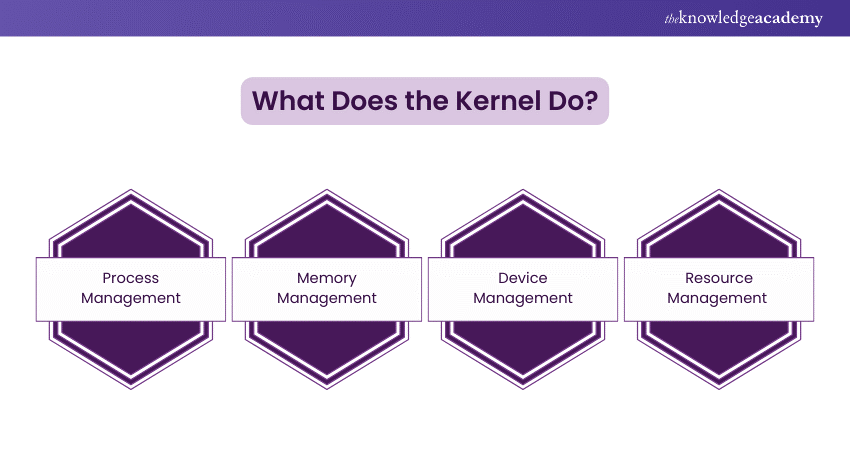 What is a Kernel? Definition, Types, & Working