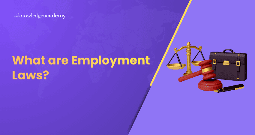 Understanding Employment Laws: What it is and Why it Matters