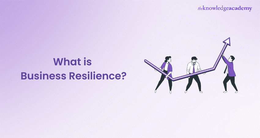 What is Business Resilience? Explained in Detail