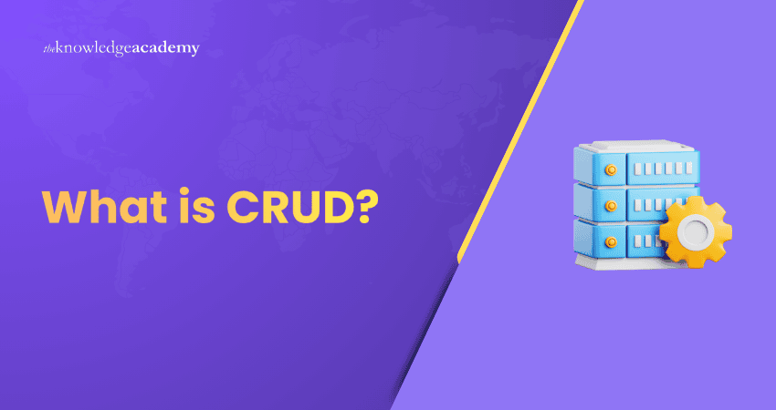 What is CURD? Everything You Should Know