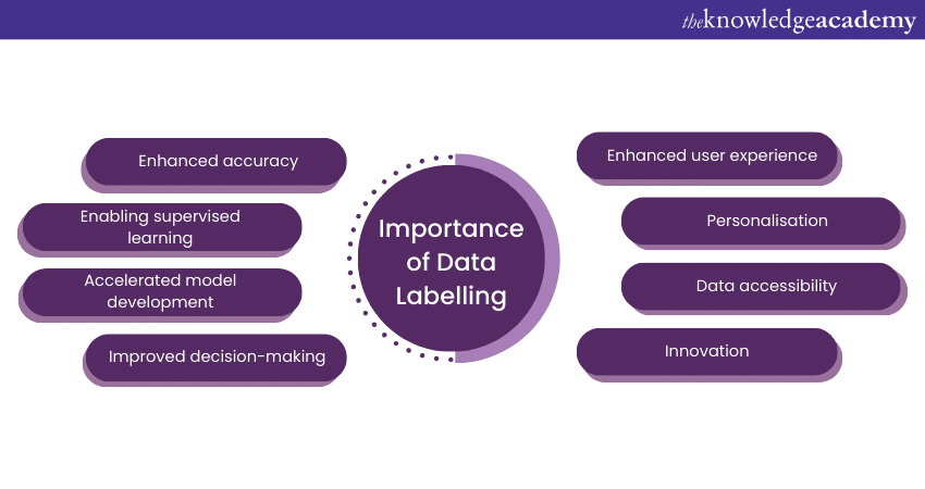 What is Data Labeling and How Does it Work?