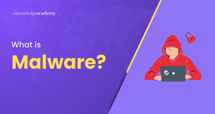What is Malware? Exploring Common Internet Attack