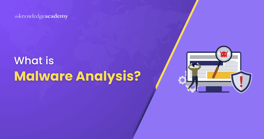 Malware Analysis: Definition, Types, Stages & Benefits