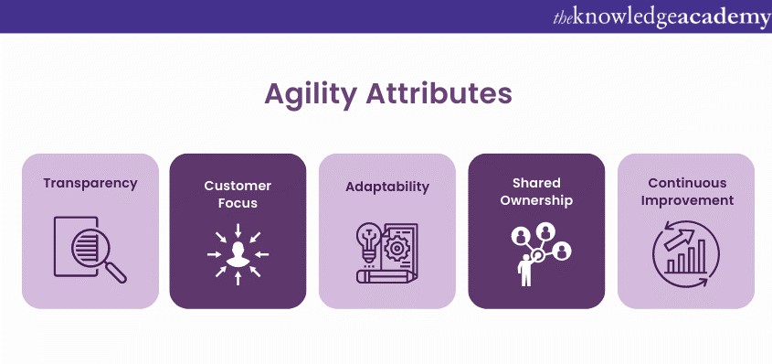 Agile Project Management Principles: Everything You Need To Know!