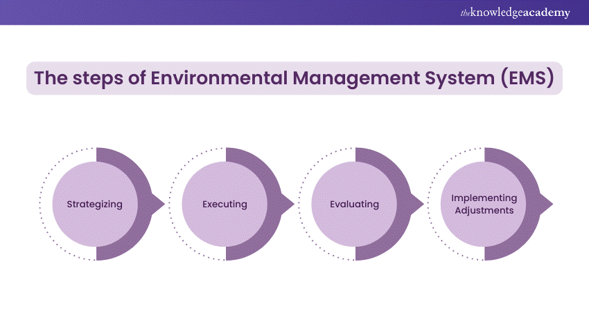 What is an Environmental Management System (EMS)? Explained